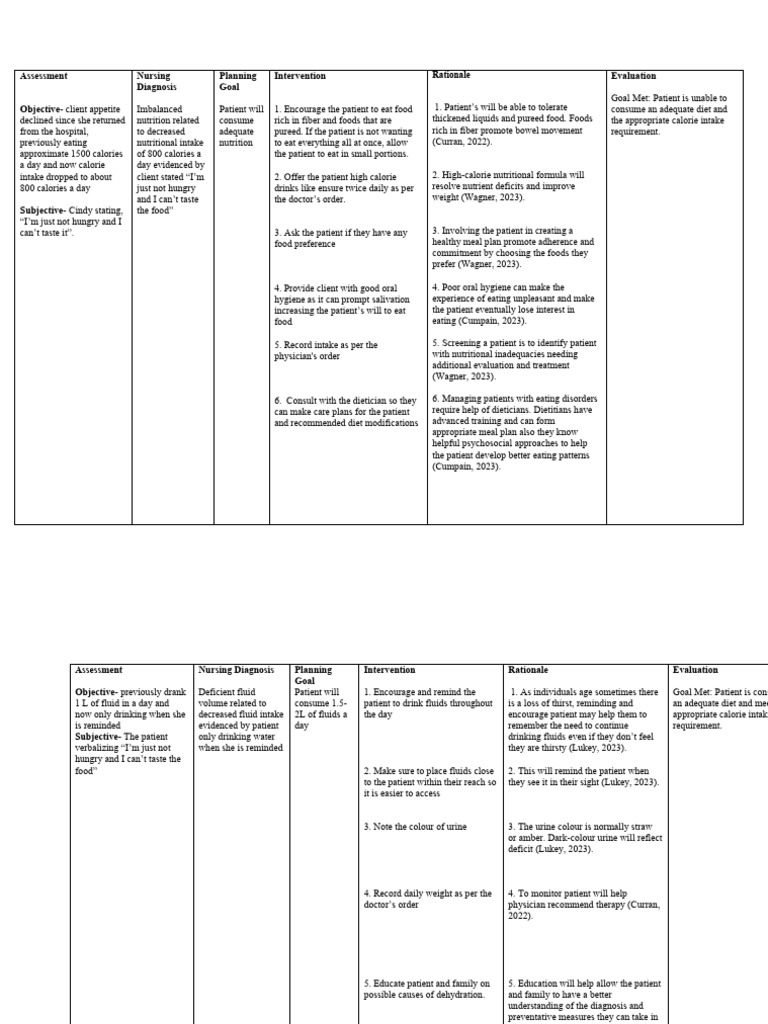Nursing Care Plan Example | PDF | Dieting | Dietitian