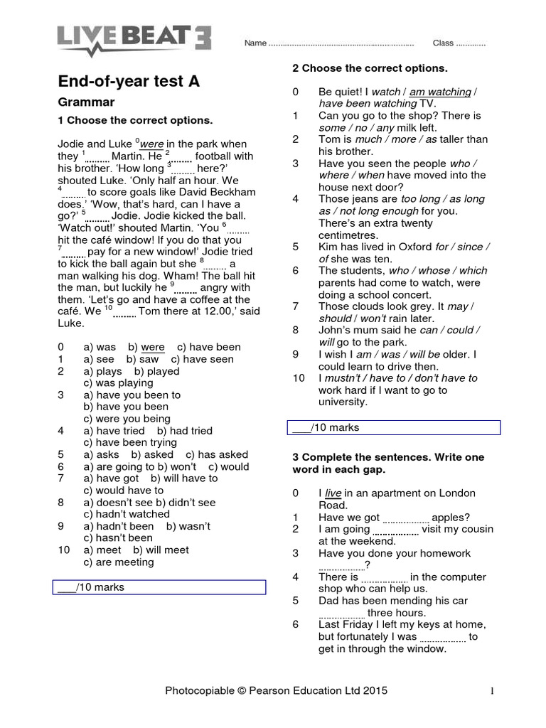 End-of-Year Grammar Test for Students | PDF