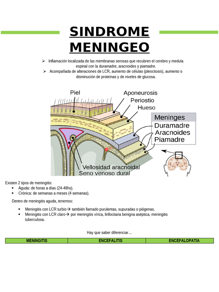 Meningitis: Tipos, Causas y Tratamiento | PDF | Meningitis | Medicina