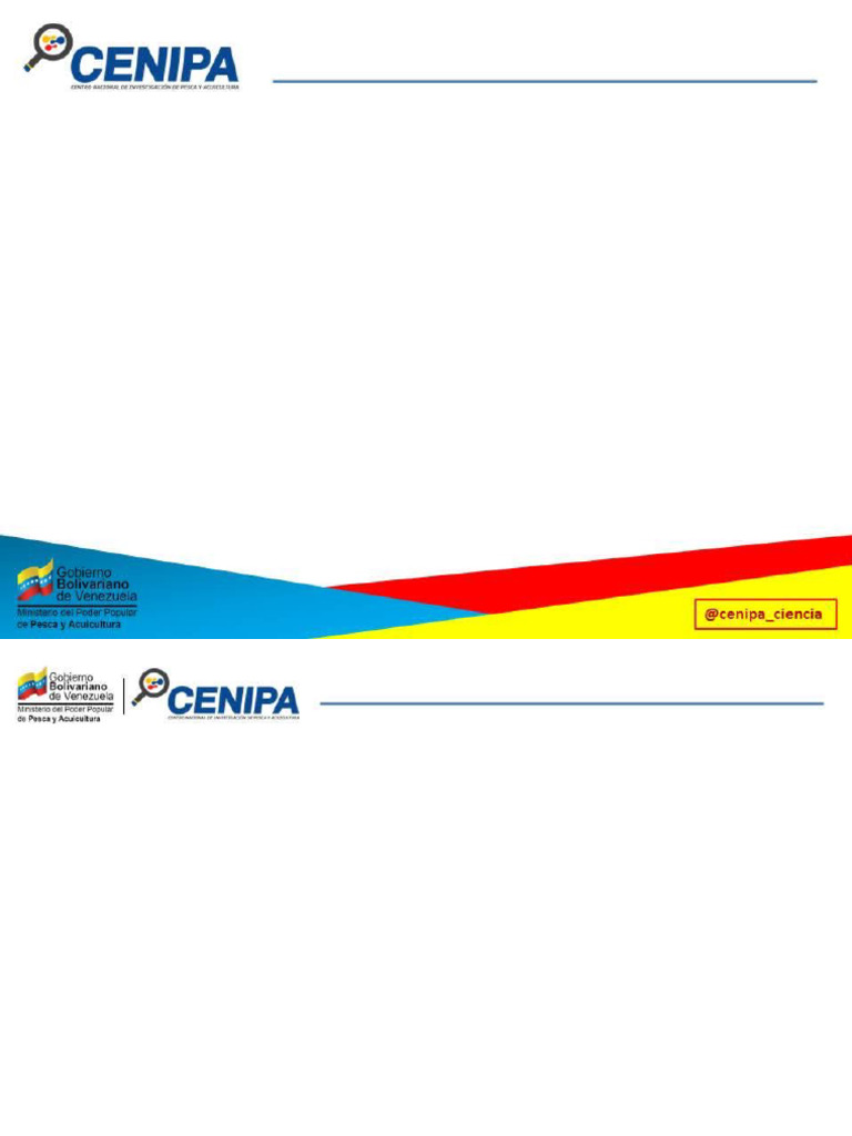 Cenipa Formato Nuevo Presentaciones | PDF