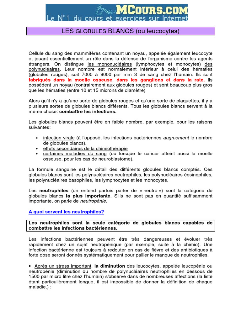Les Globules Blancs | PDF | Globule blanc | Globule rouge