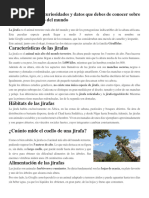 Historia de Las Jirafas | PDF | Evolución
