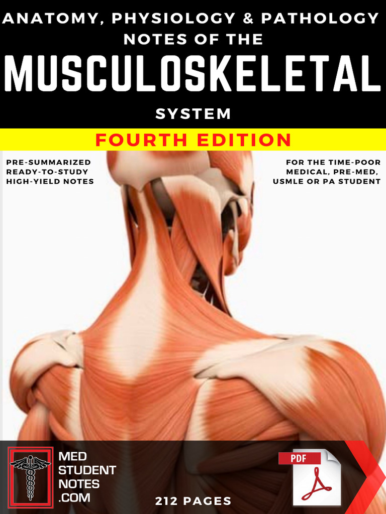 Musculoskeletal System Study Notes | PDF | Bone | Muscle Contraction