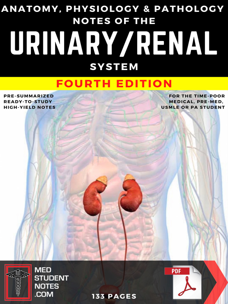 Urinary Renal System - 4th Ed | PDF | Kidney | Genitourinary System