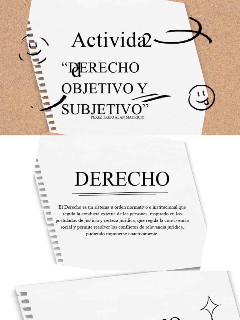 Derecho Objetivo y Subjetivo Explicado | PDF | Gobierno | Principios éticos