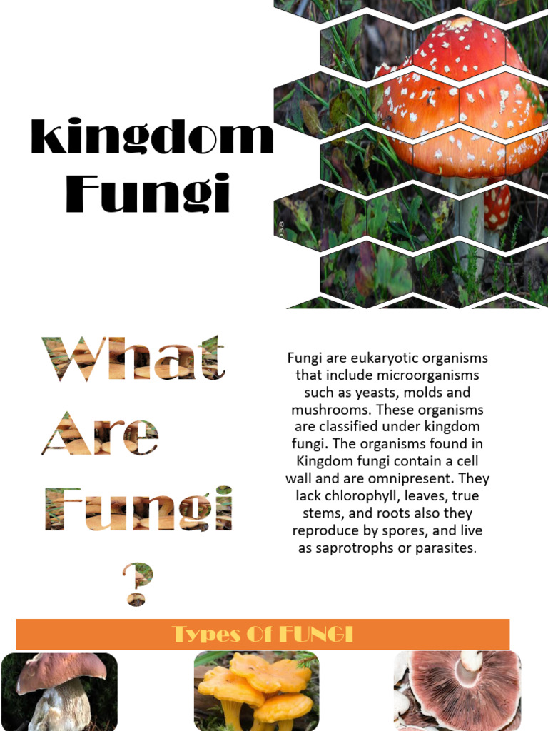 Kingdom Fungi | PDF | Fungus | Organisms