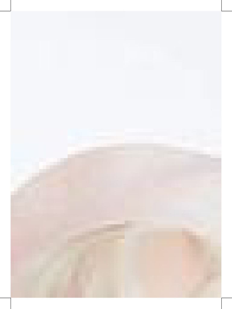 Rasterbation (1) | PDF