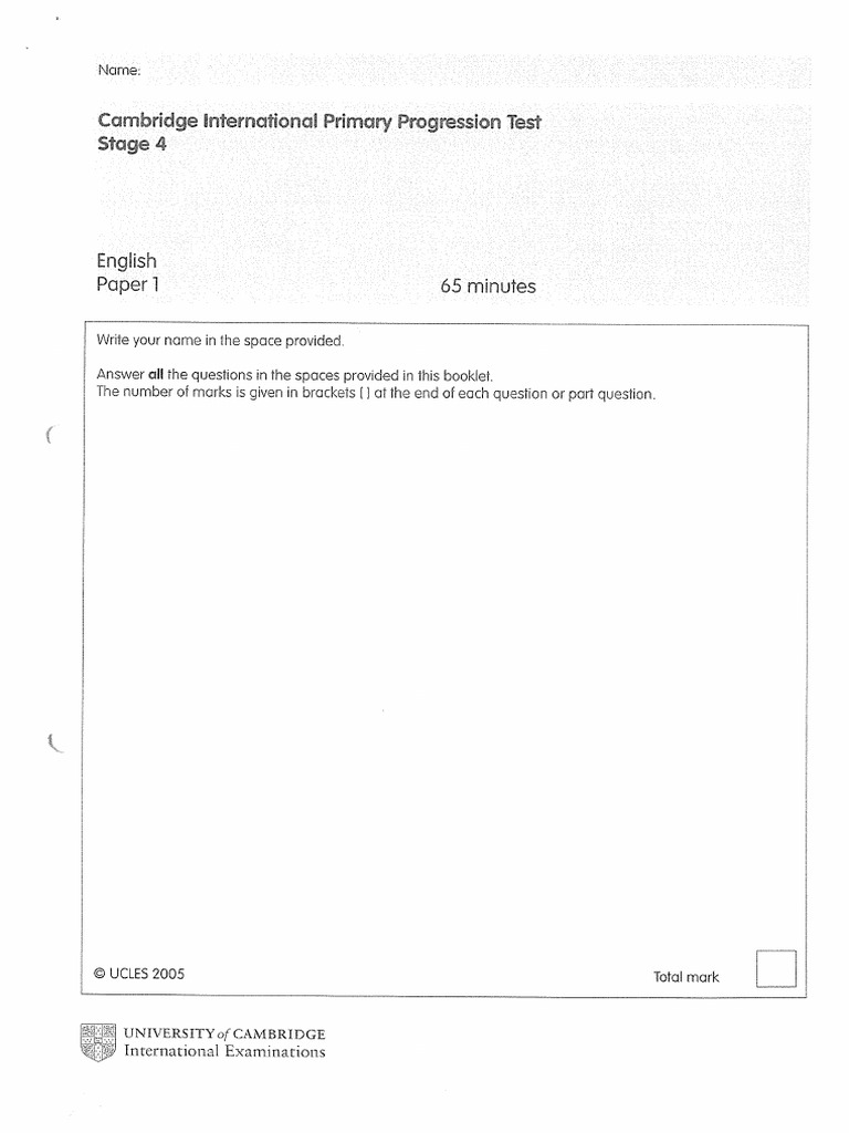 2005 Progression Test Y4 Paper 1 | PDF