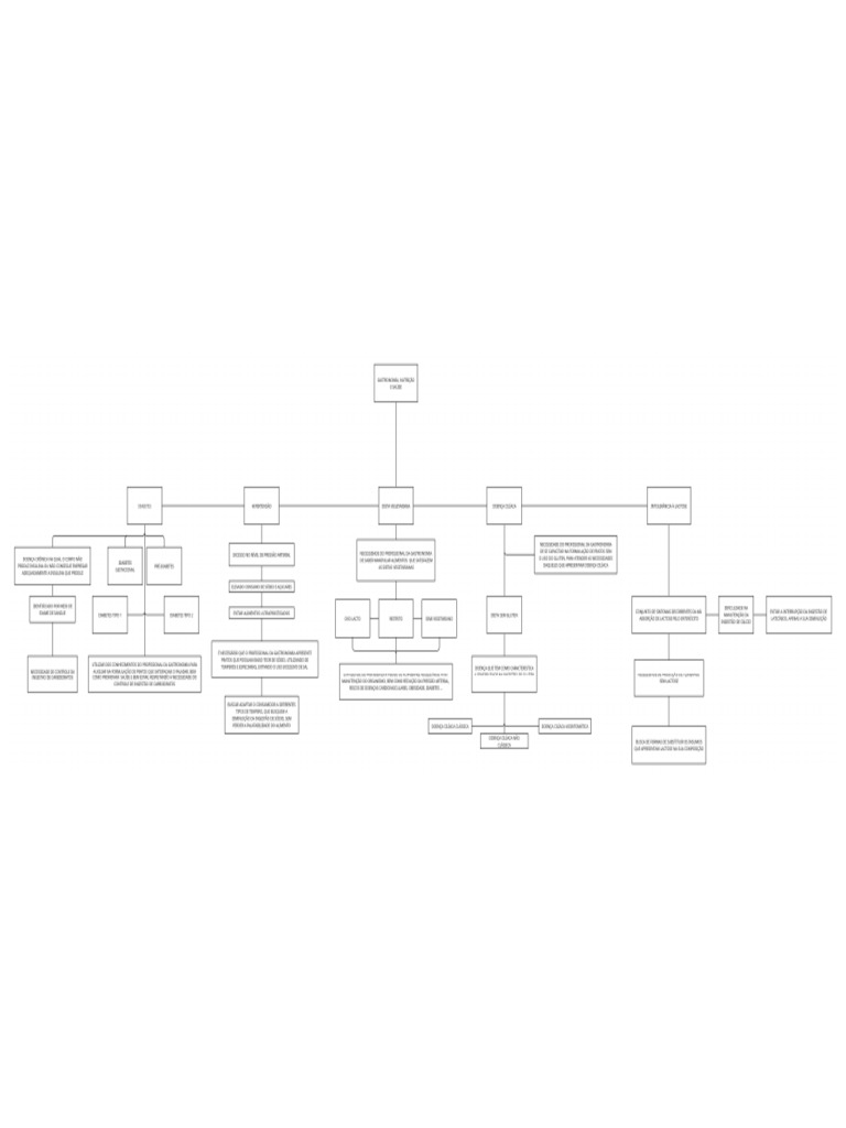 Mapa Conceitual - João Gabriel | PDF