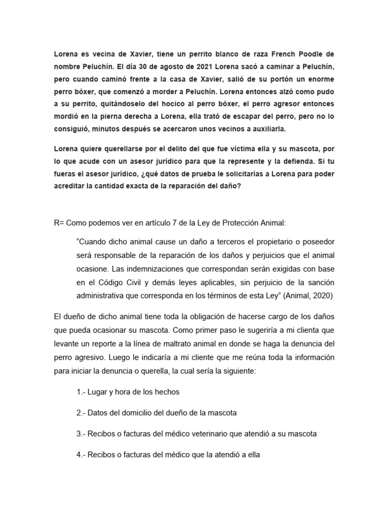 Foro Modulo2 | PDF | Boxer (Perro) | Justicia