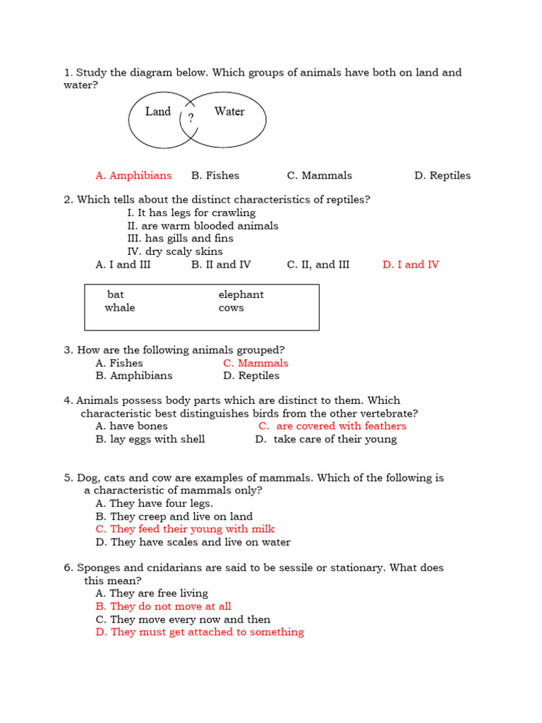 Animal Classification Quiz | PDF | Mangrove | Mammals