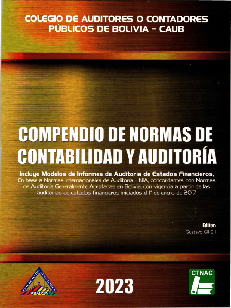 Compendio de Normas de Contabilidad y Auditoría | PDF