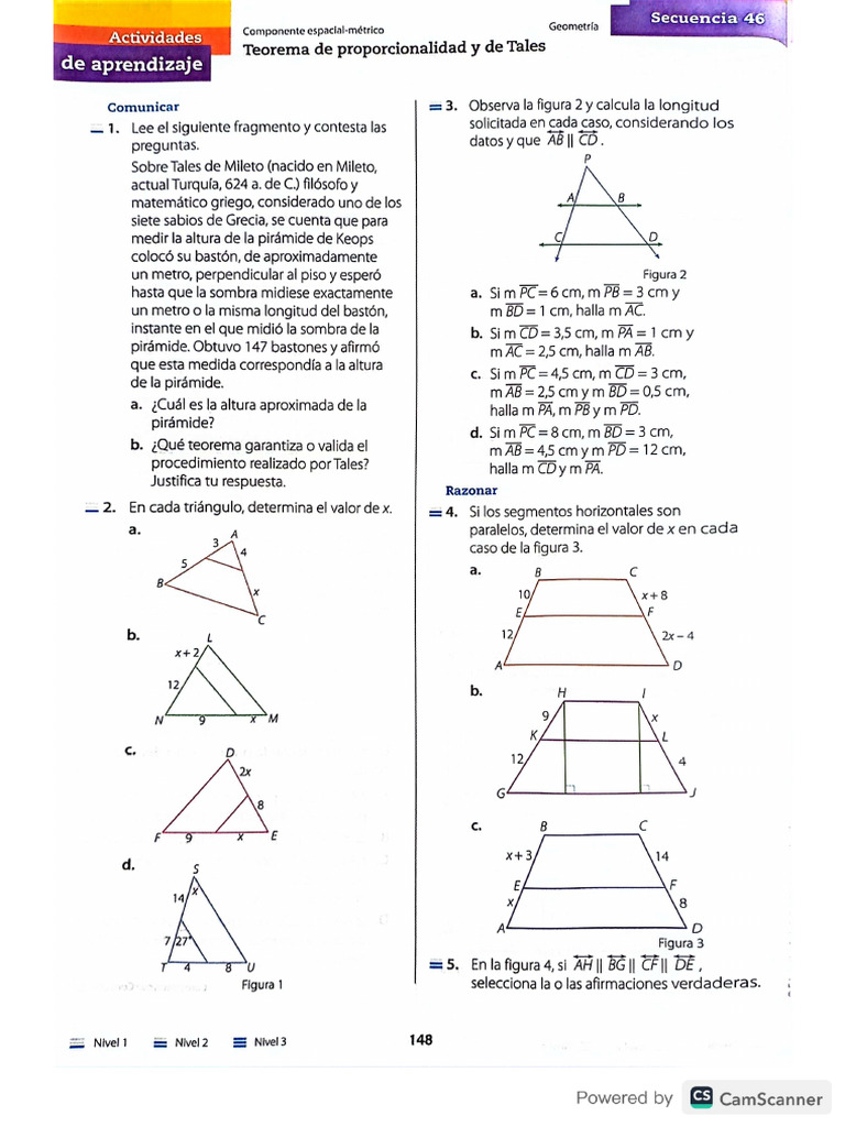 Modulo 2 Teorema de Tales Taller | PDF