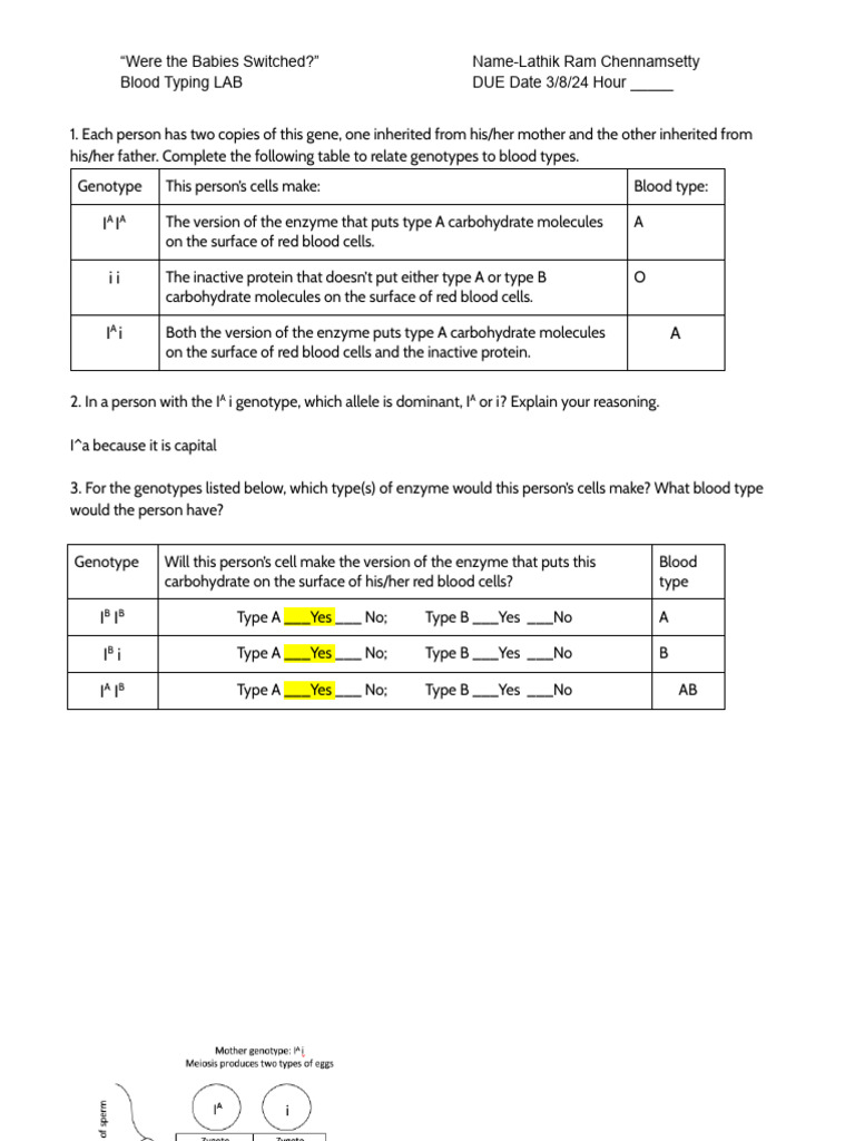 Blood Type Genetics and Baby Switches | PDF | Dominance (Genetics ...