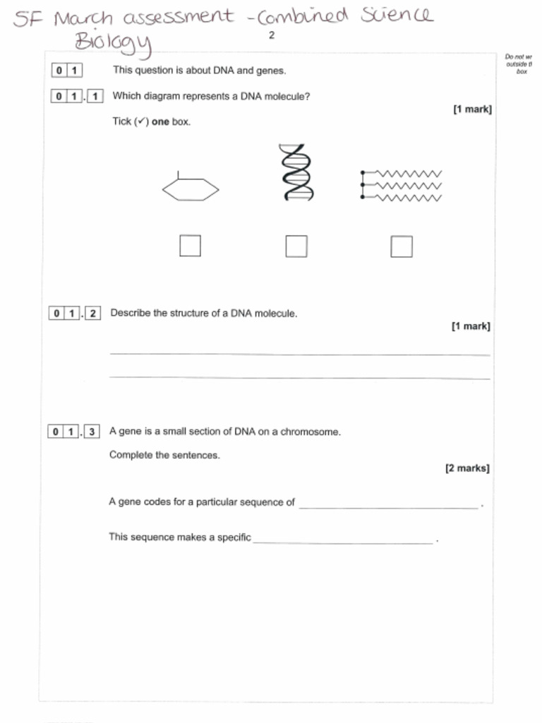 5F COMB March Assessment | PDF