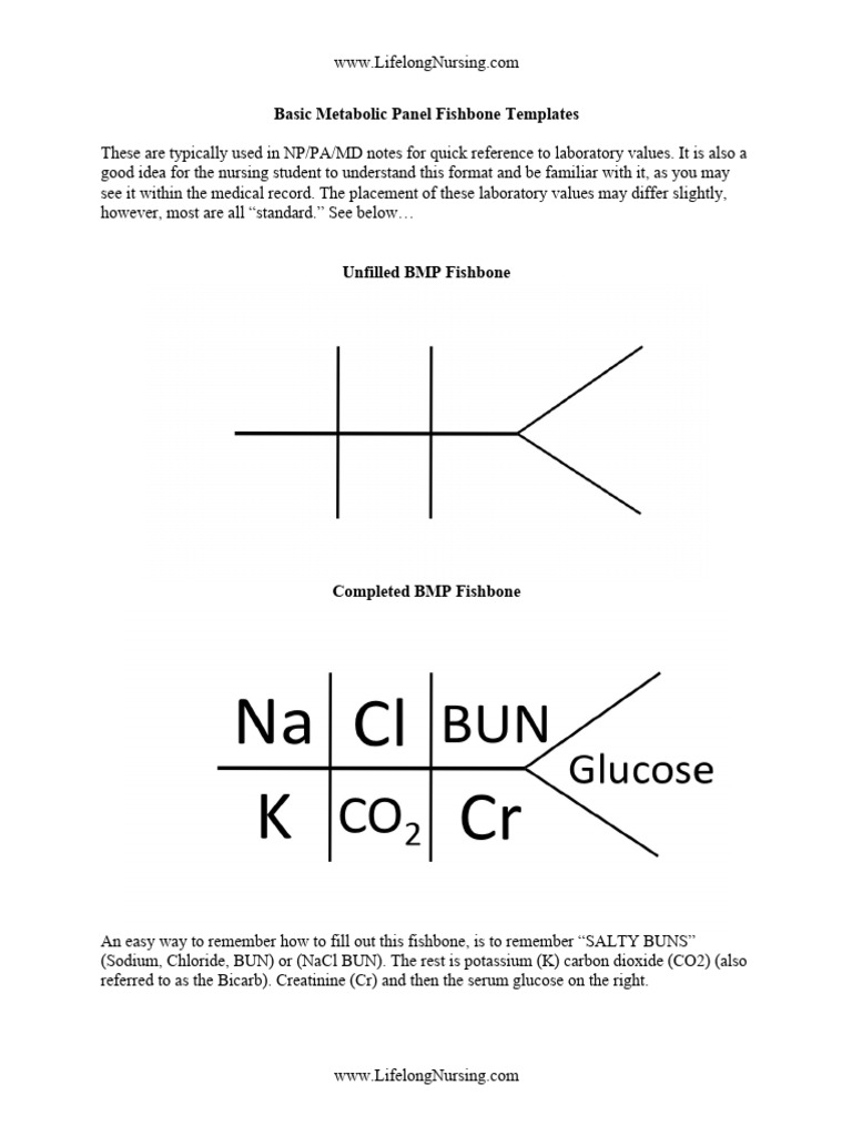 CBC and BMP Fishbone Template | PDF