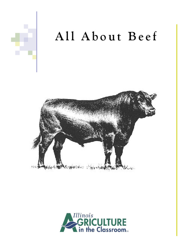 Cookery 10 Beef Worksheet | PDF | Cattle | Hamburgers