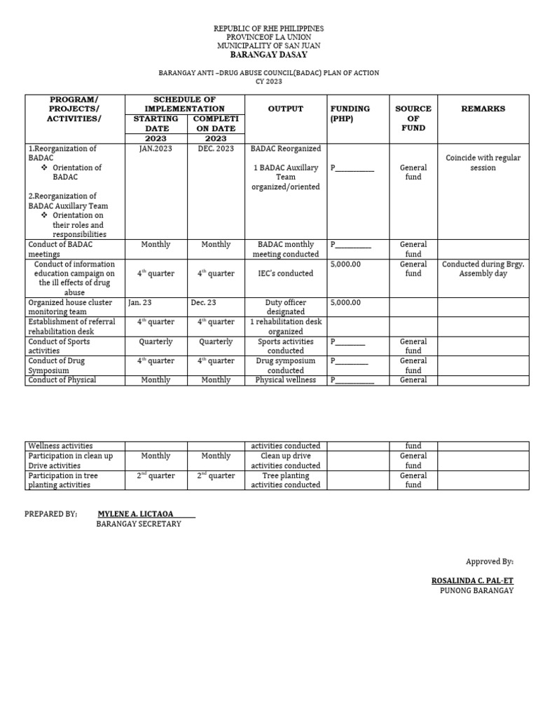 Badac Plan of Action | PDF