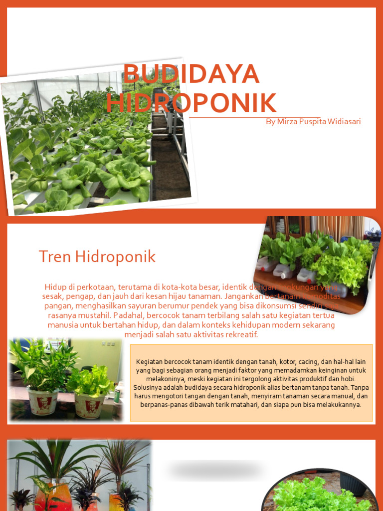 Hidroponik: Solusi Bertani Modern | PDF | Griya & Taman | Sains ...