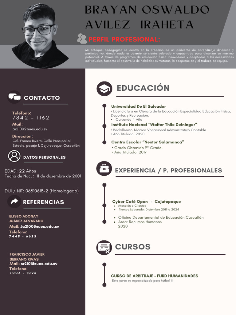 Curriculum Vitae Brayan Avilez 2024 | PDF | Aprendizaje