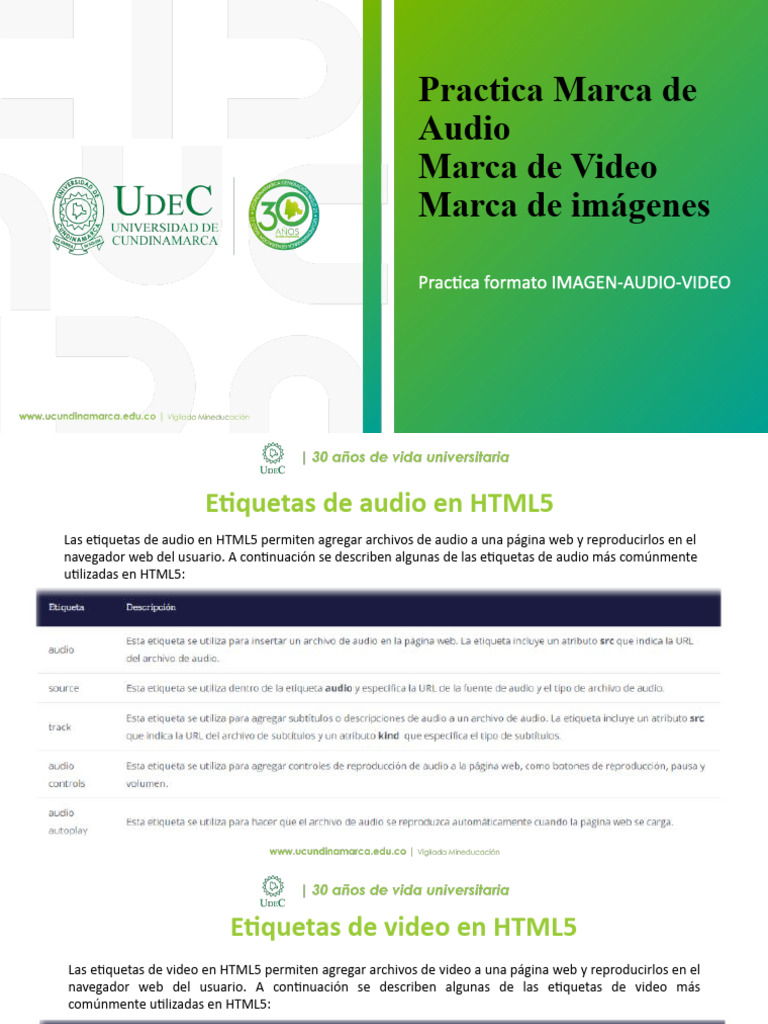 Semana 3-4 Practica 1 Formato Imagen-Audio-Video | PDF