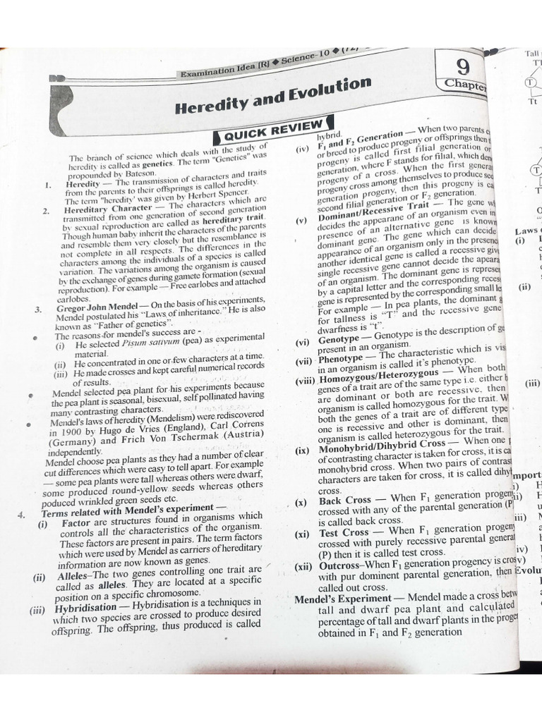 PYQs Heredity and Evolution | PDF