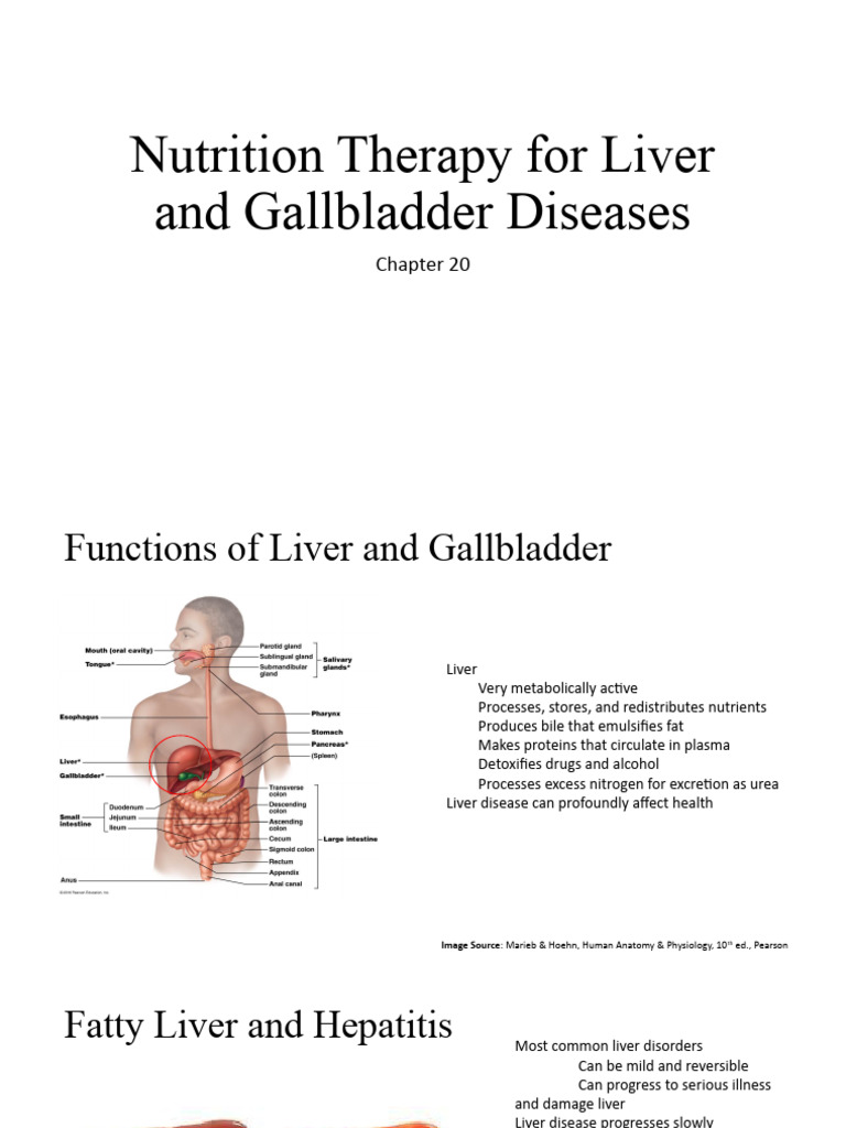 Lecture 08 - Liver and Gallbladder | PDF | Cirrhosis | Hepatitis