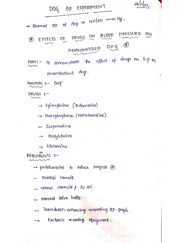 Dog BP Experiment | PDF