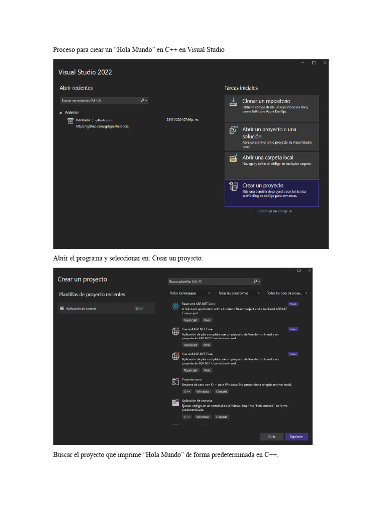 Reporte Visual Studio | PDF | Informática