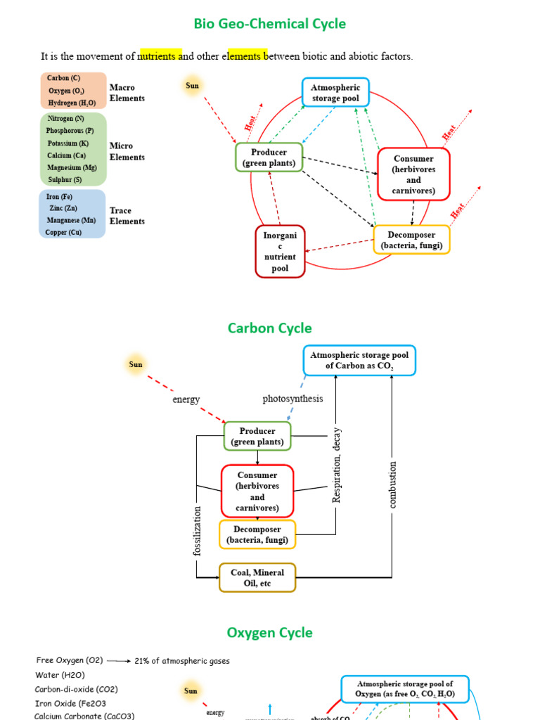 Bio Geo-Chemical Nutrient Cycles Explained | PDF | Carbon Dioxide ...