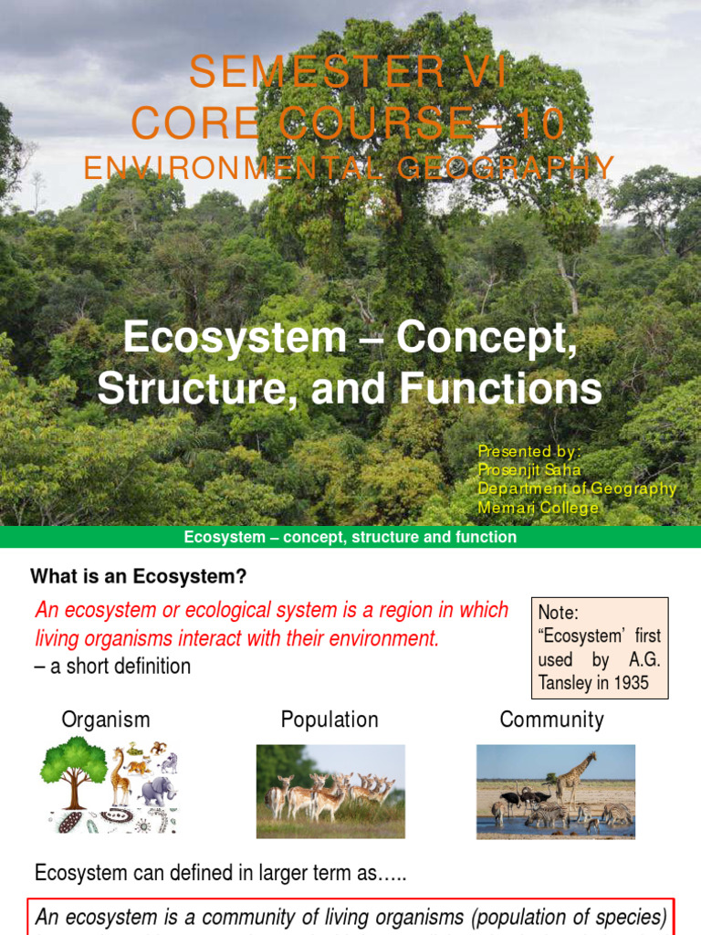 CC10 Theory 1.3EcosystemConcept, StructureandFunction | PDF | Ecosystem | Food Web
