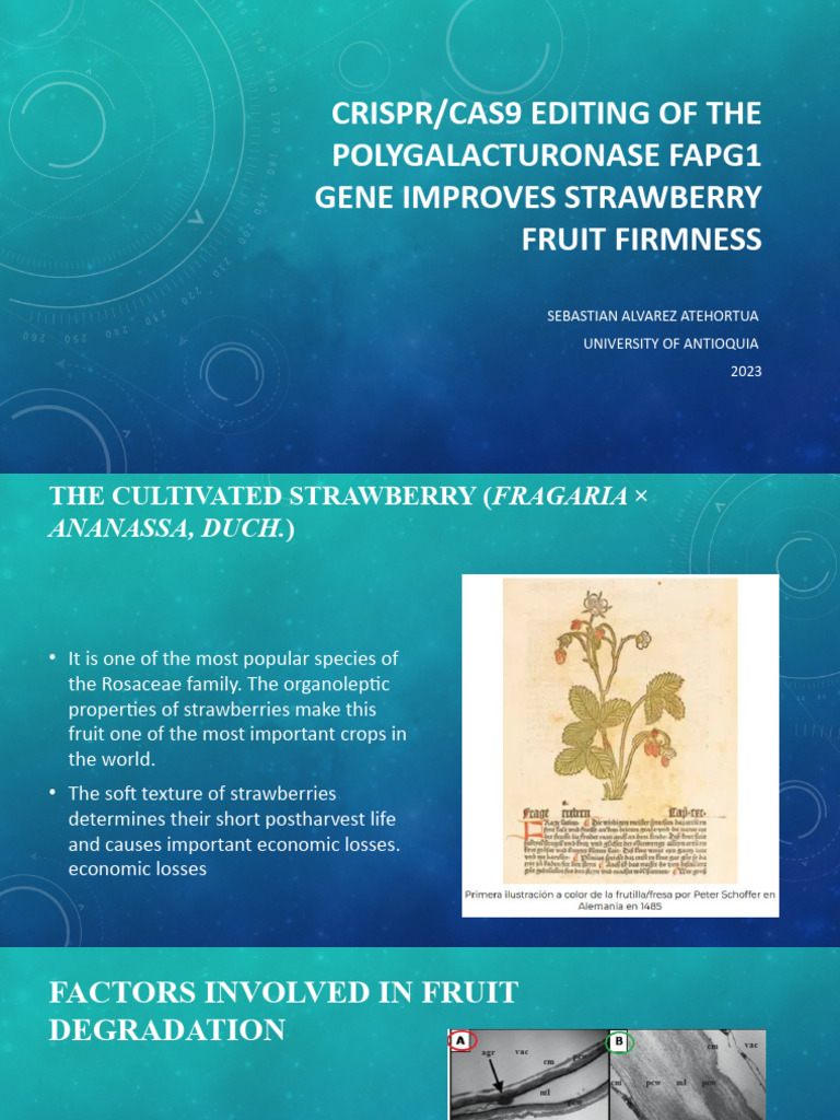 CRISPR | PDF | Gene | Molecular Biology