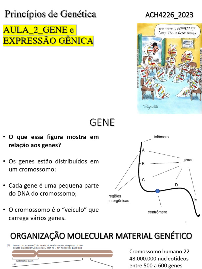 AULA - 2 - GENE e EXPRESSÃO GÊNICA | PDF | Gene | Expressão genética