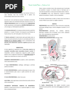 Anatomia do Peritônio e Cavidade Peritoneal | PDF | Peritônio | Corpo ...