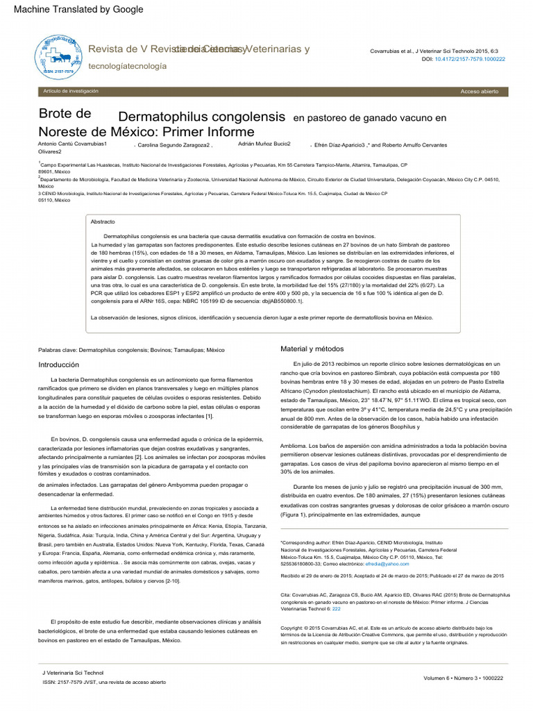Outbreak of Dermatophilus Congolensis in Grazing Beef Cattle in ...