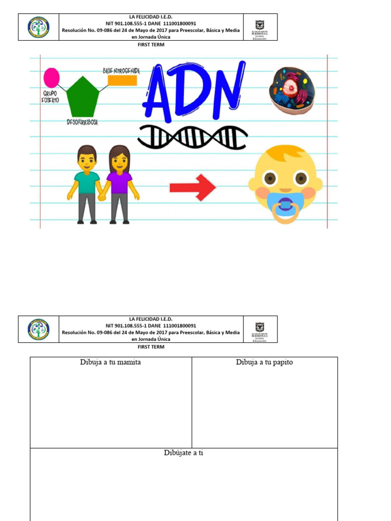 Actividad Adn | PDF