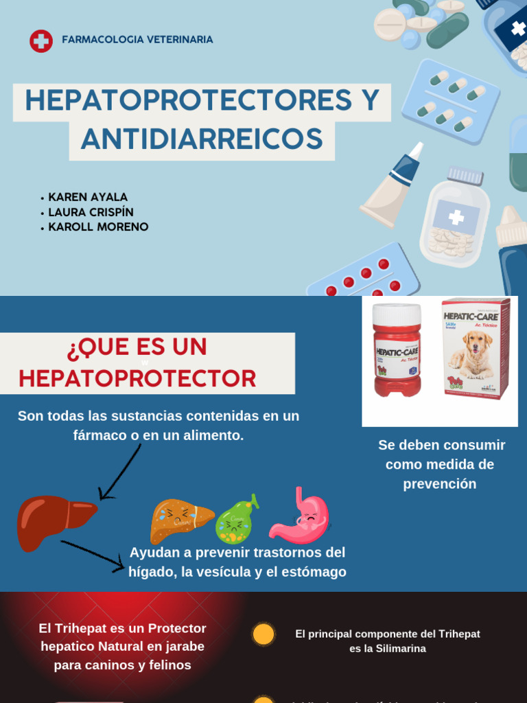 Hepatoprotectores y Antidiarreicos | PDF | Diarrea | Digestión