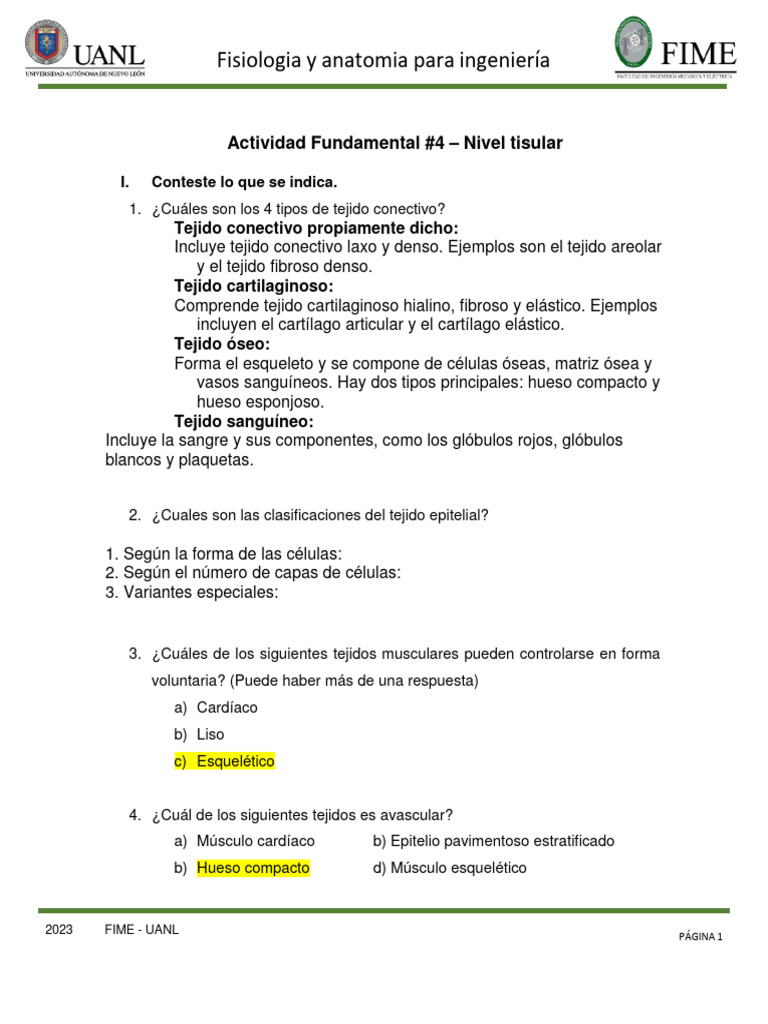 Af4 Nivel Tisular Pdf Tejido Conectivo Cartílago