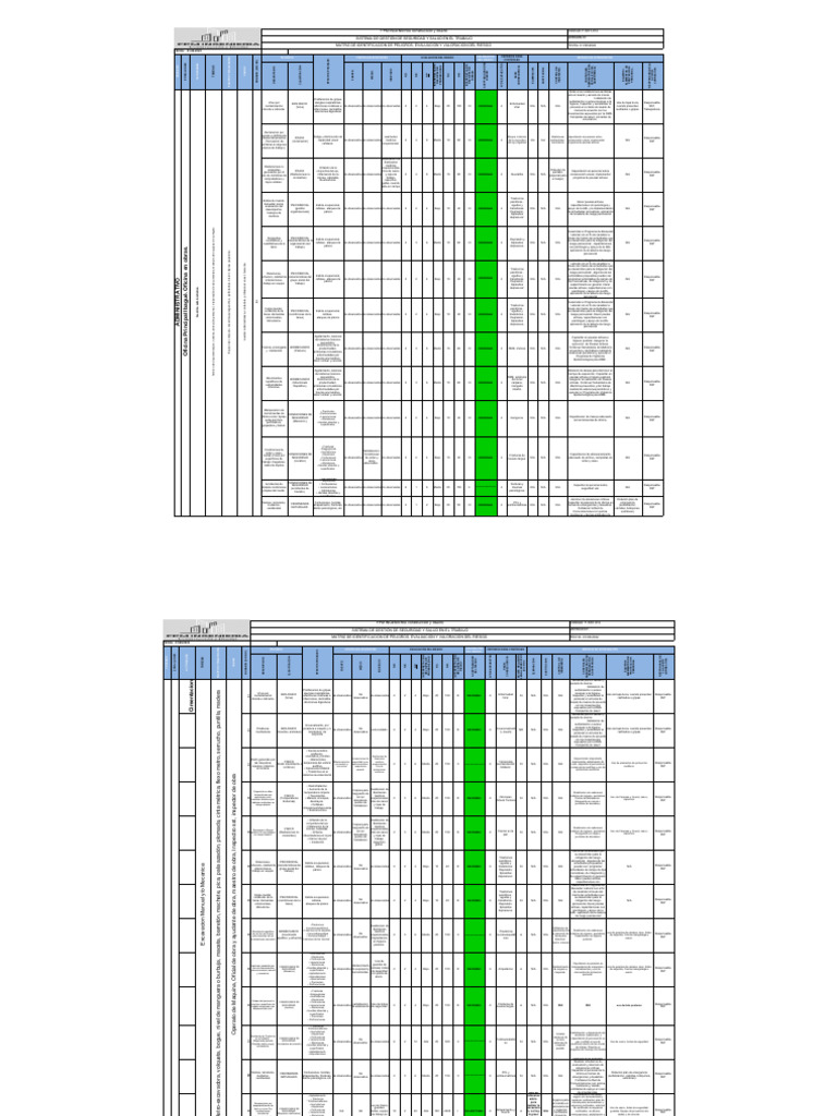 Matriz Ipevr FPM | PDF