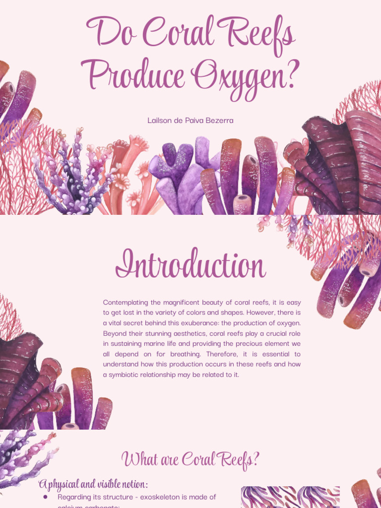 Coral Reef | PDF | Coral Reef | Coral