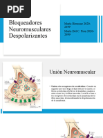 Succinilcolina: Uso y Precauciones | PDF | Farmacología | Medicina