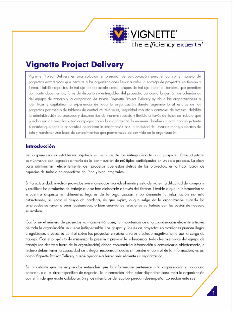 Vignette Project Delivery | PDF
