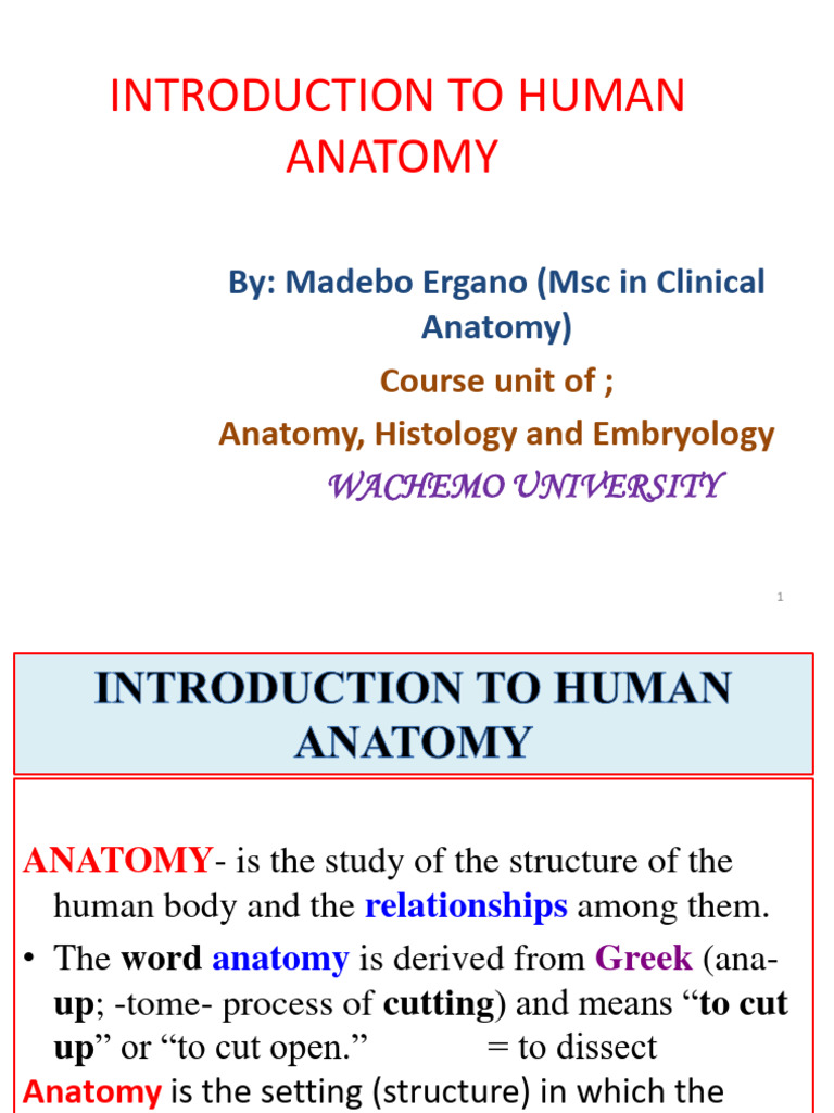 INTRODUCTION TO ANATOMY | PDF | Anatomical Terms Of Location ...