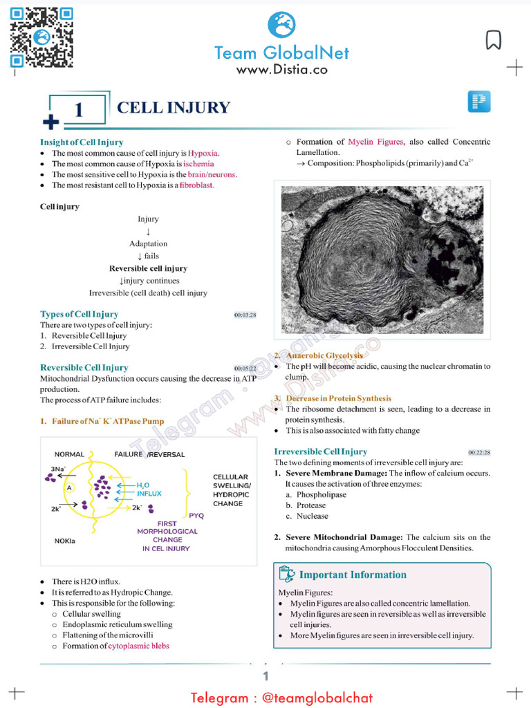Pathology Dr. Preeti Sharma PRPLDR PDF | PDF