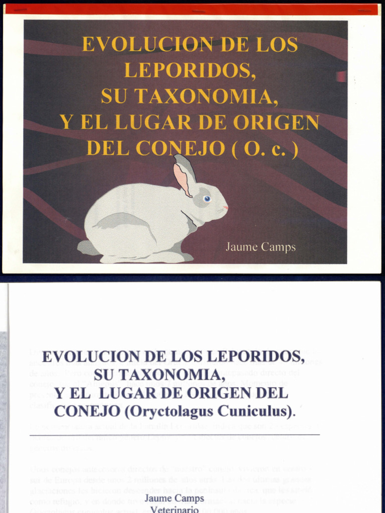 Evolución y Origen del Conejo Ibérico | PDF | liebre | Organismos