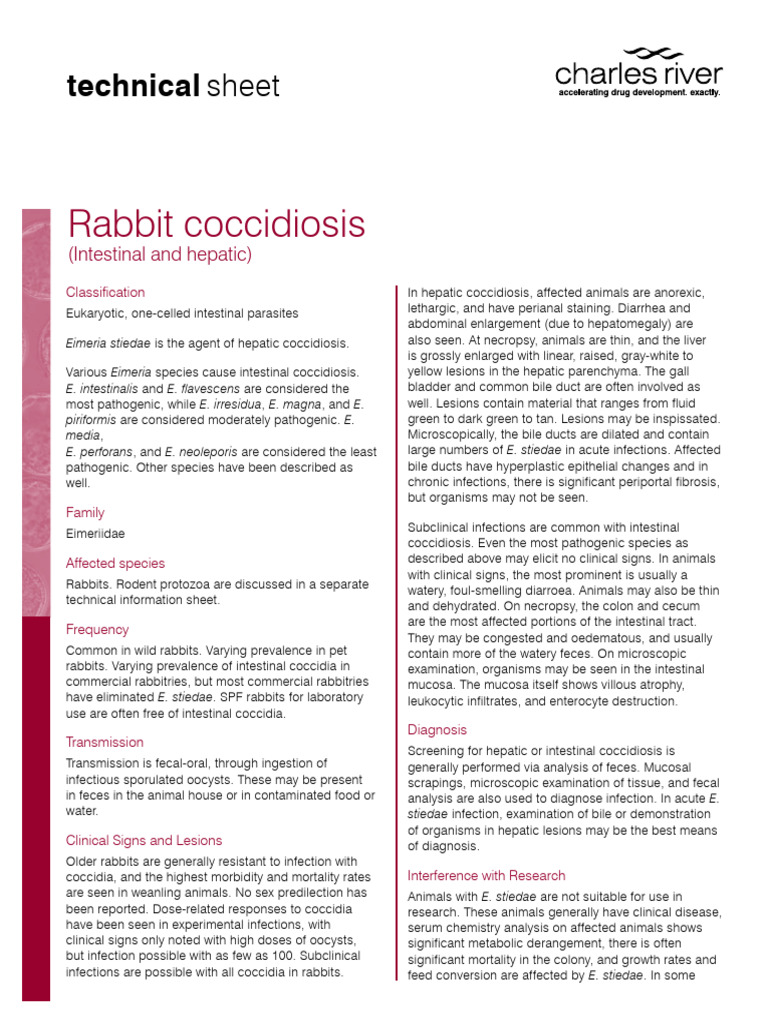 Rabbit_coccidiosis | PDF | Infection | Liver