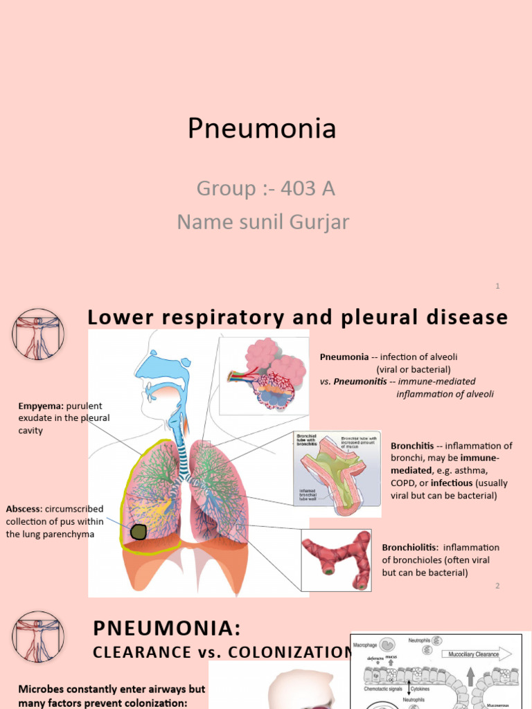 Pneumonia I Pathophysiology and Clin Presentation | PDF | Pneumonia | Lung