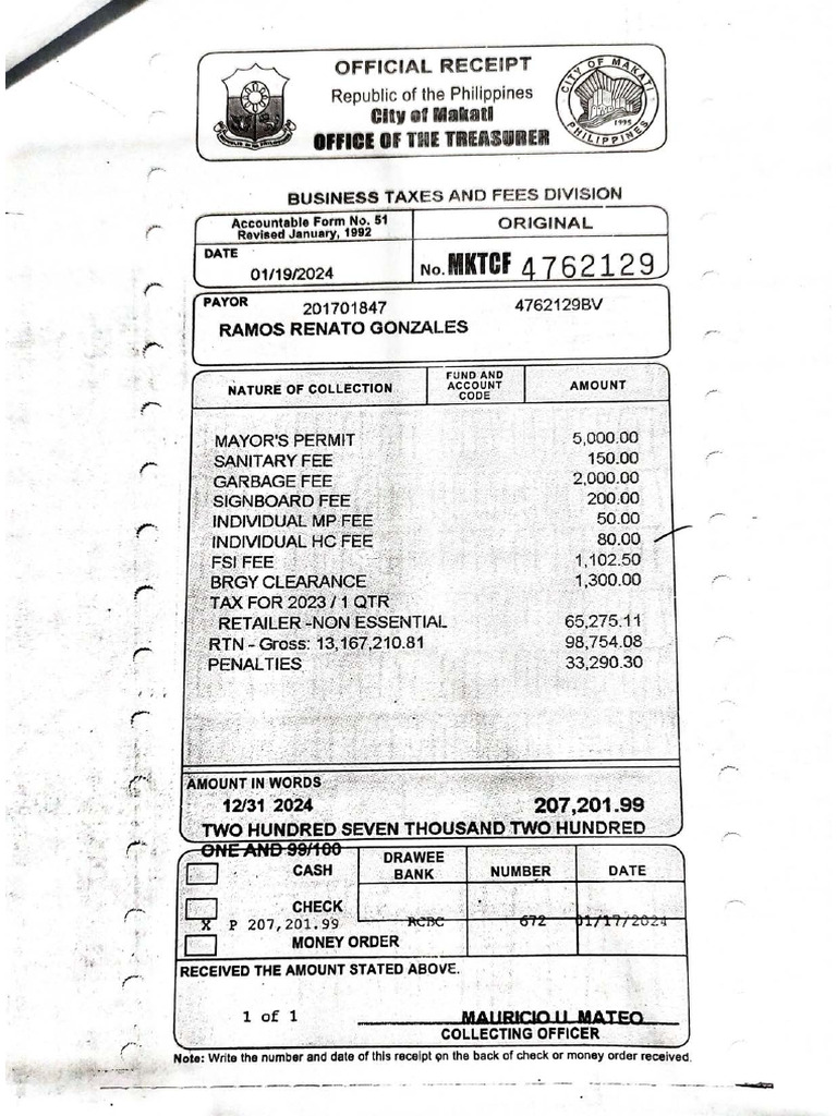 Mayors Permit 2024 | PDF