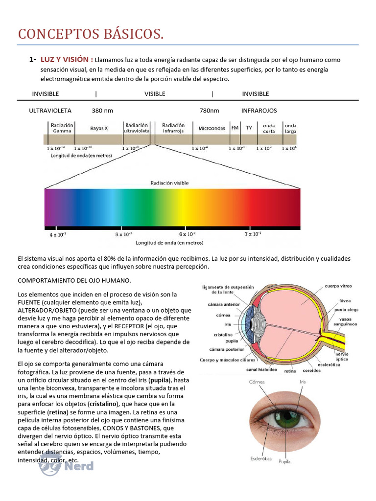 Resumen | PDF | Color | Percepción visual