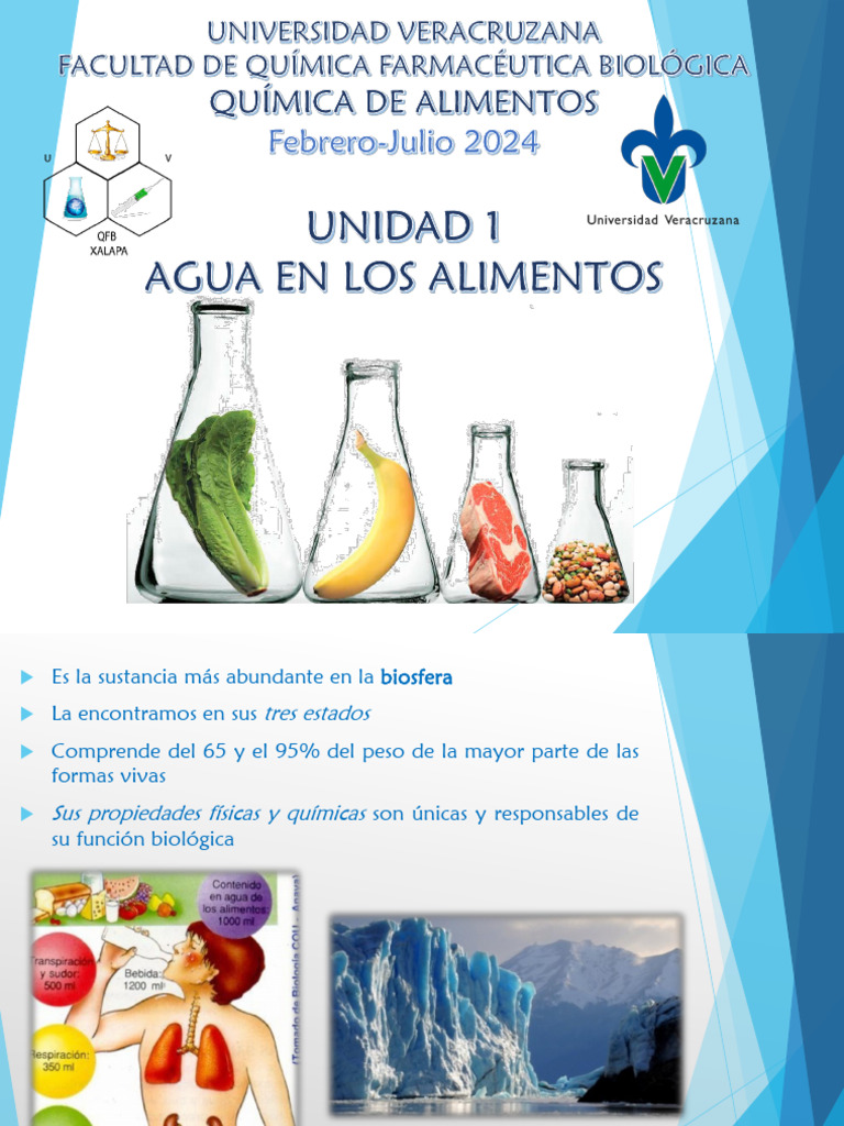 2 Agua en Los Alimentos | PDF | Alimentos | Agua
